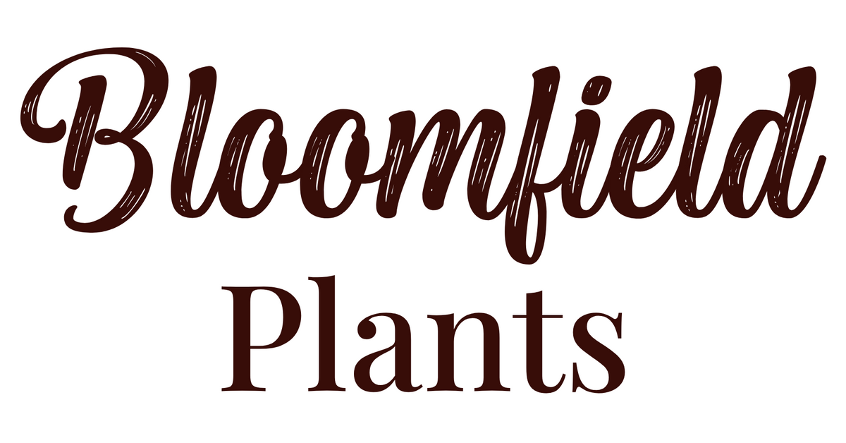 Bloomfield Plants